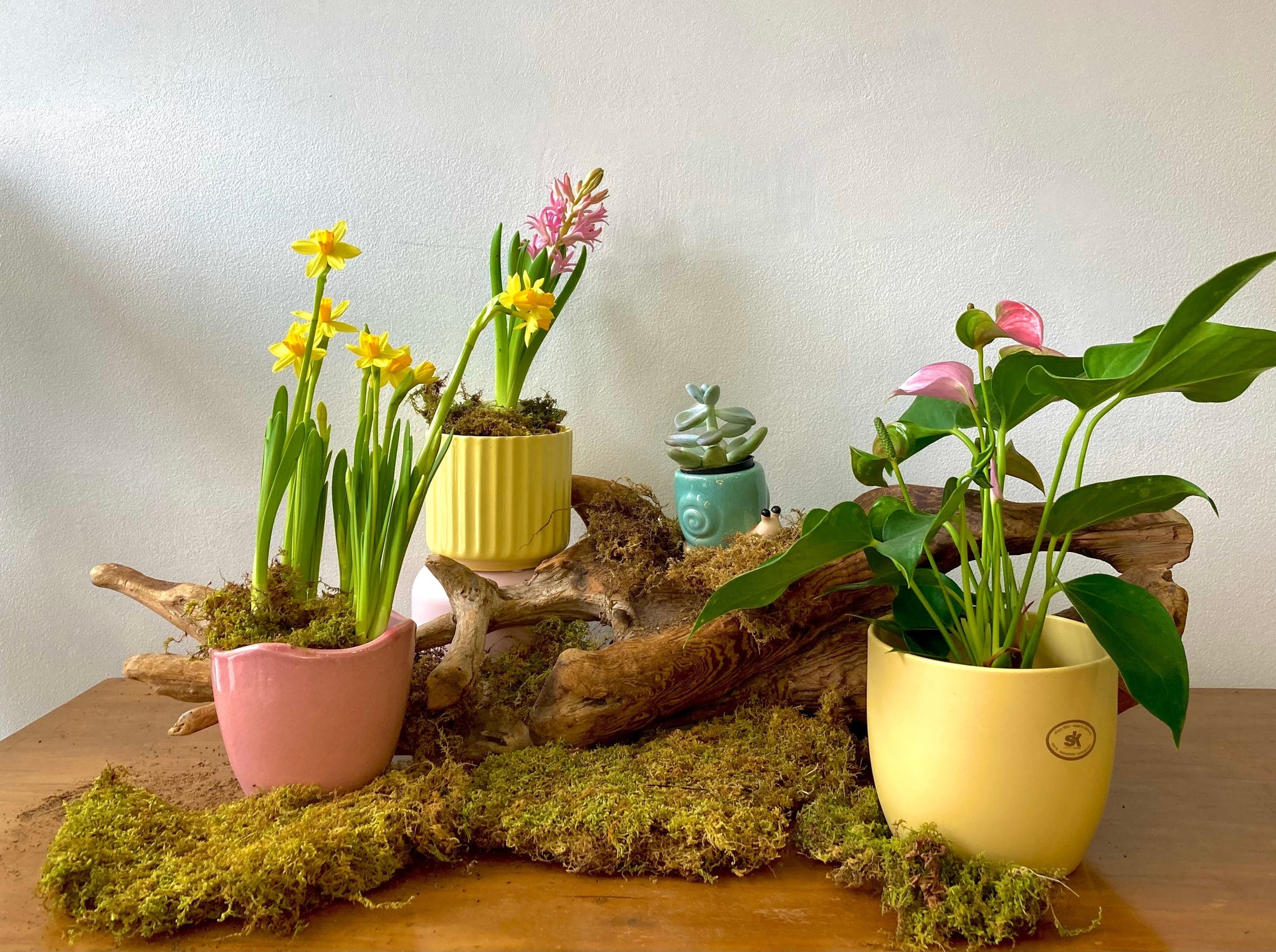 How to prepare your plants for Spring – Scrim's Florist